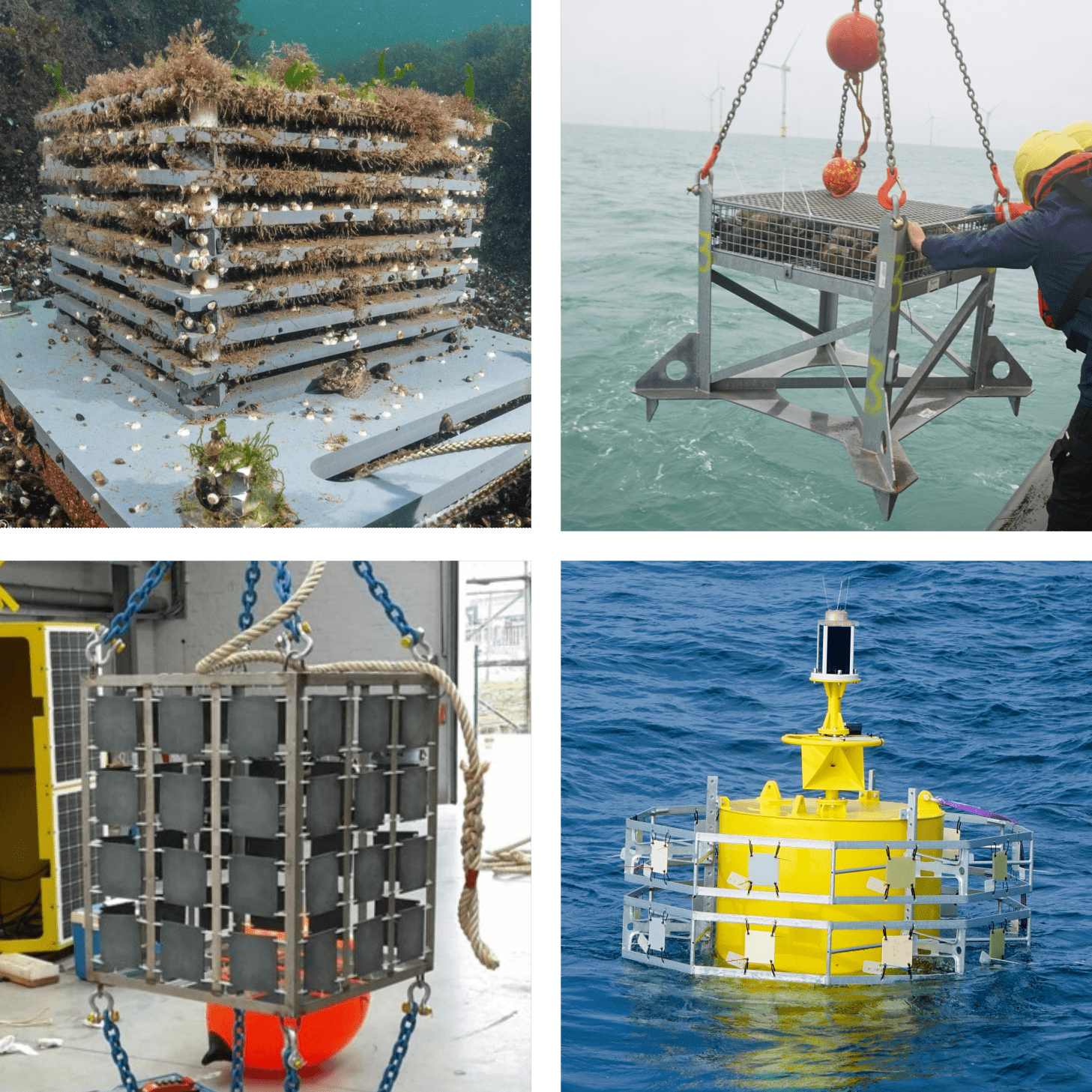 Services and Platforms – MARECO