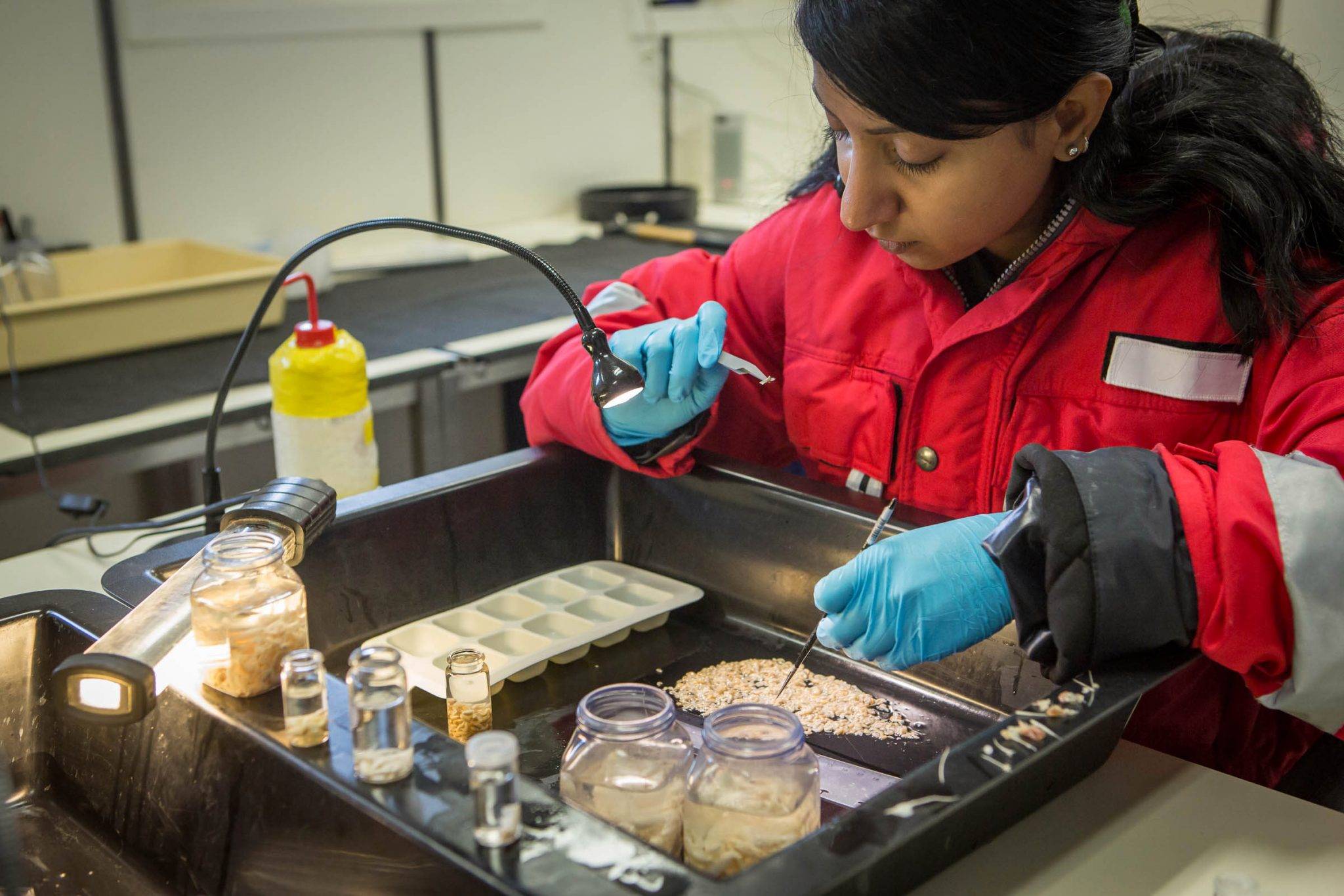 Tasnim Patel – MARECO