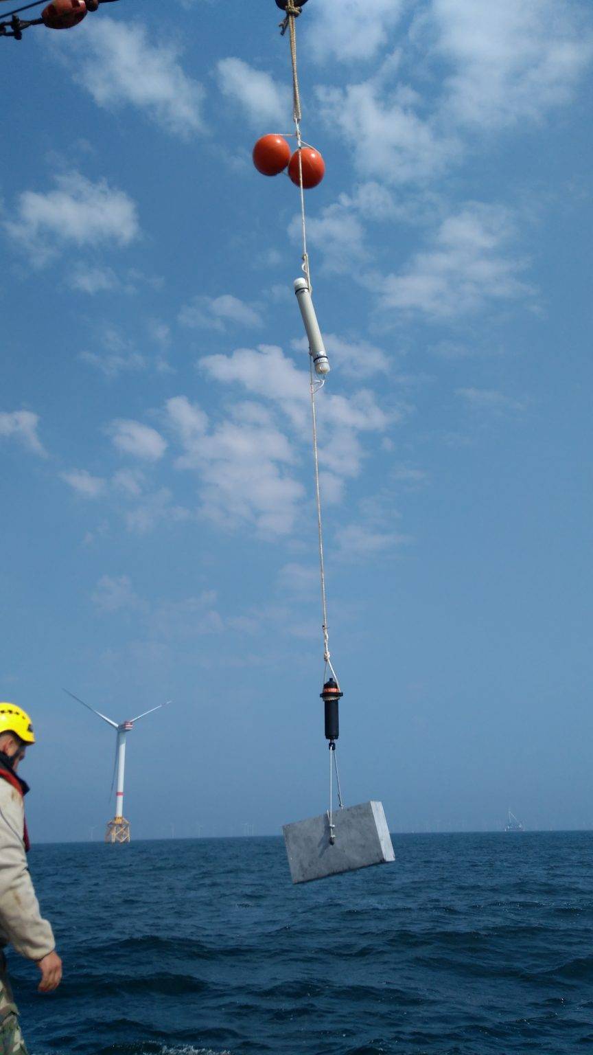 Passive acoustic monitoring (PAM) of marine mammals – MARECO