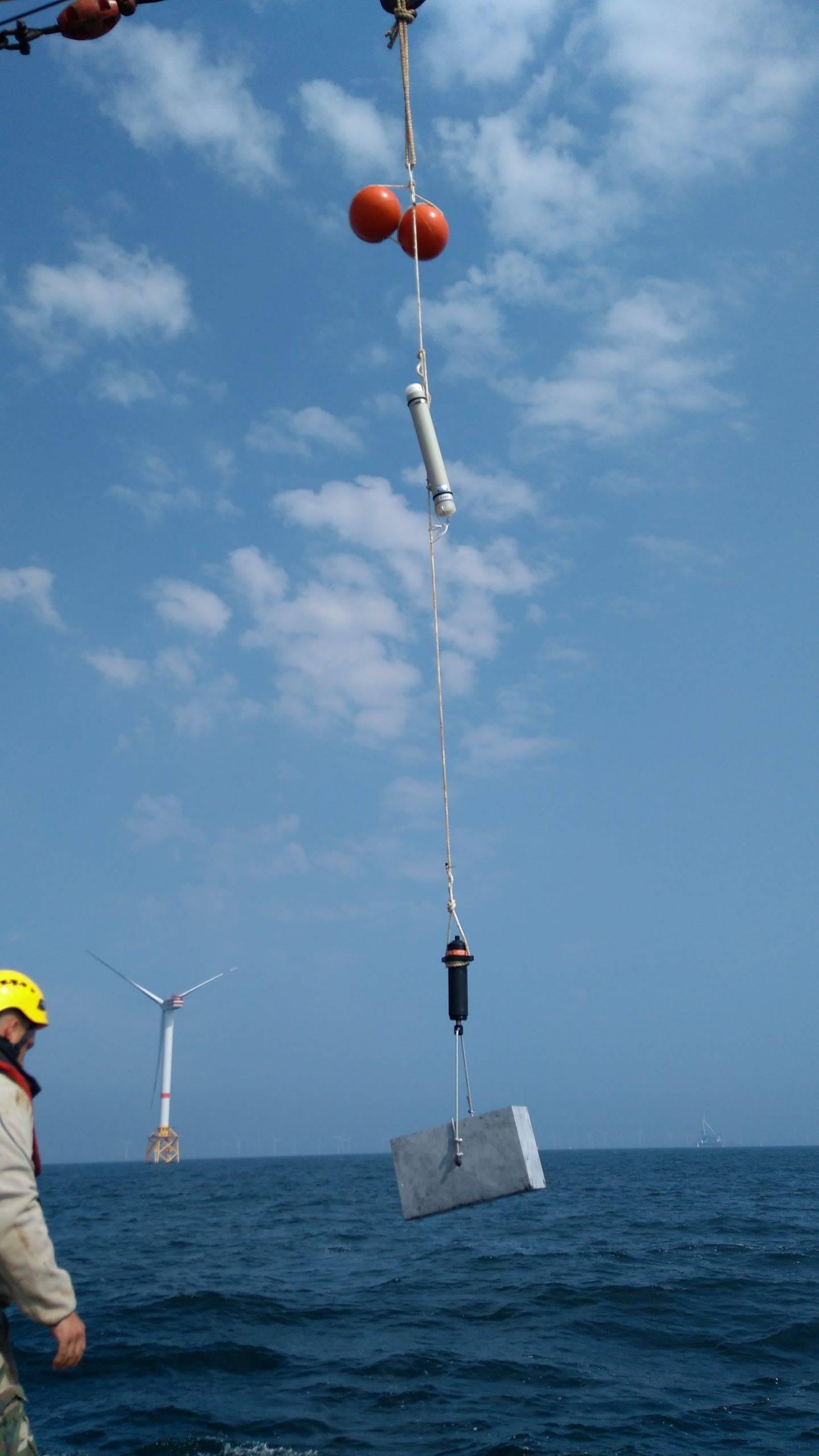 Passive acoustic monitoring (PAM) of marine mammals – MARECO