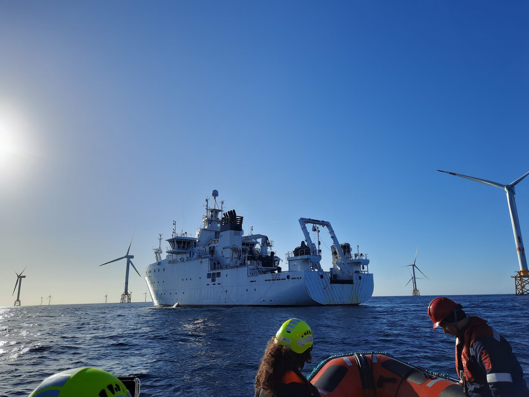 MARECO – OD Natuur MARECO